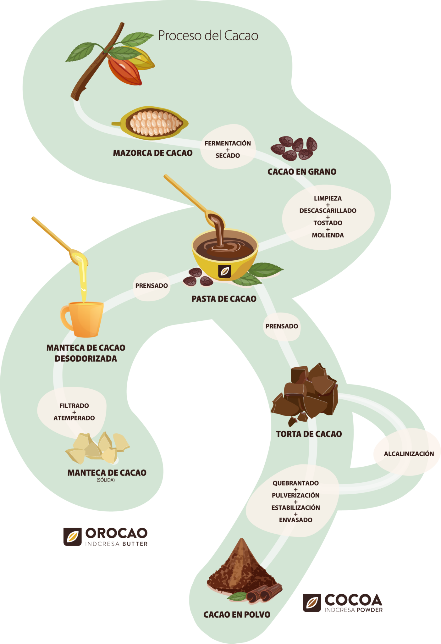 Proceso del cacao TEMP - INDCRESA